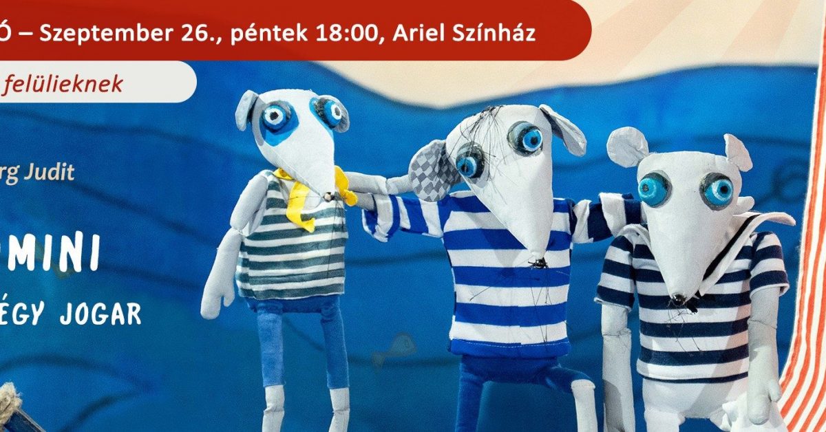 Rumini az Ariel új évadában – .:: Vásárhely.ma